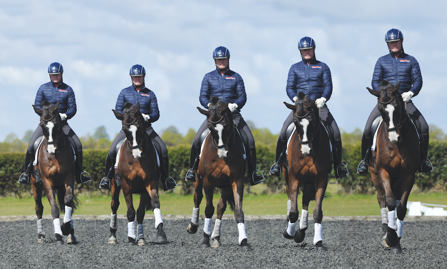 The Power of Lateral Work: From Leg Yield to Half Pass – Gallery Horse